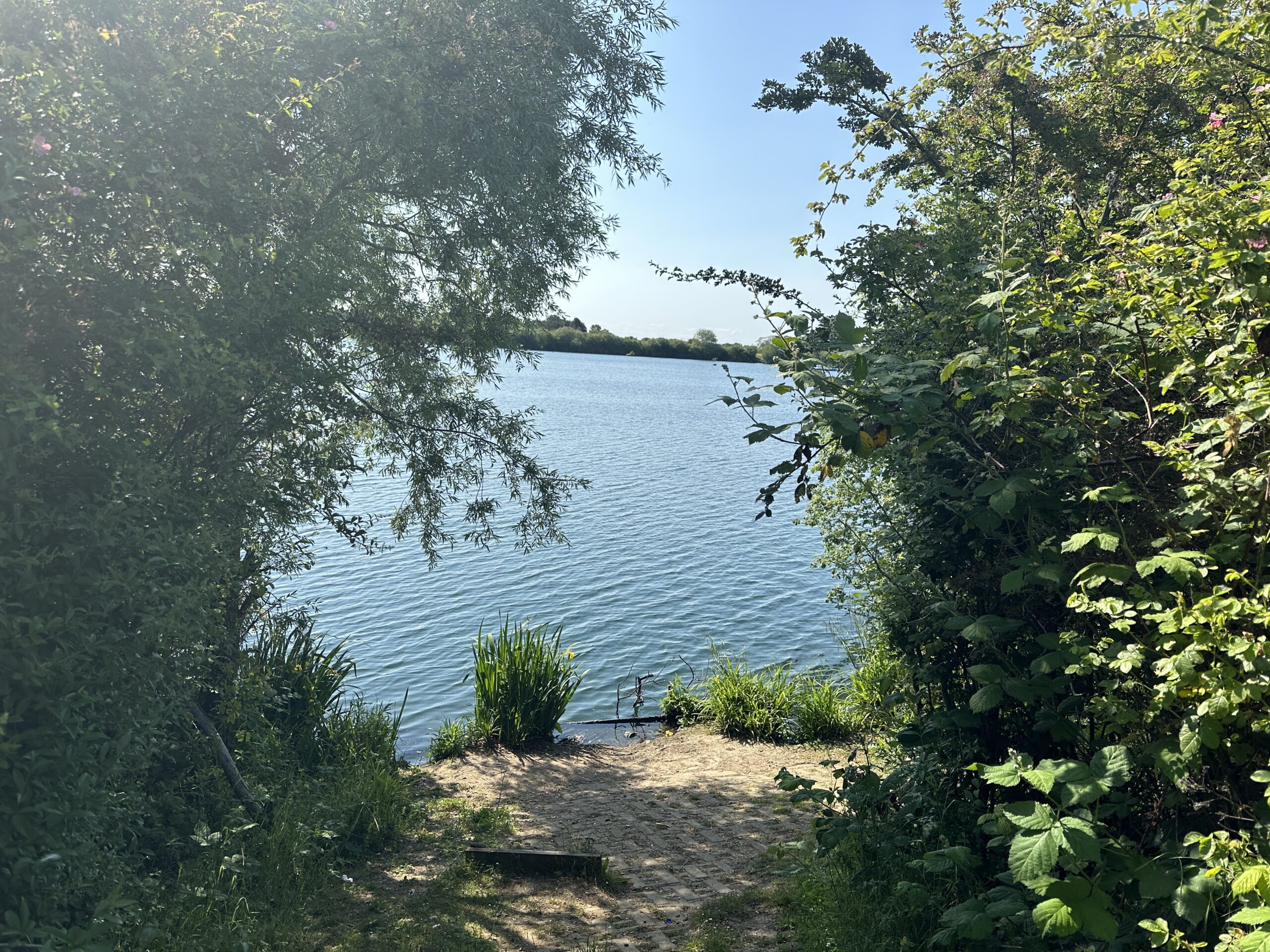 Five Empowering Facts about Grief and Regulating the Nervous System ...